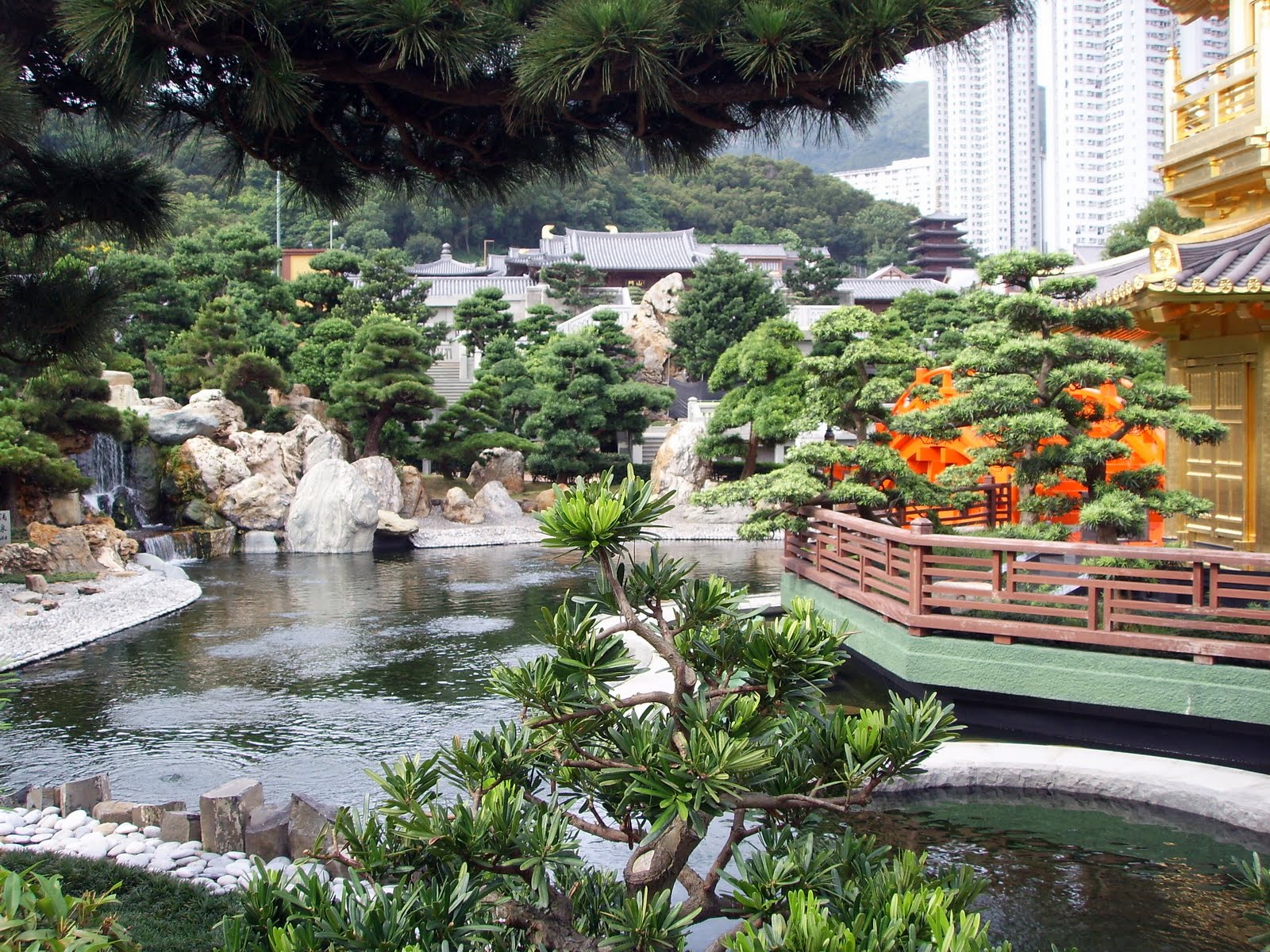 Calvin, Ashton, Camden, Coulton & Jace: Monkey Mountain, Nan Lian ...