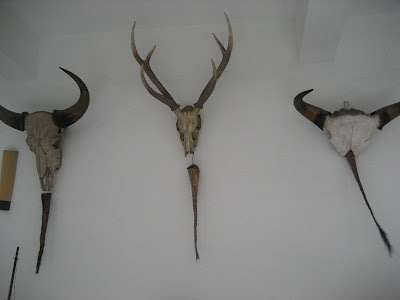 somewhere over the mekong: February 2010