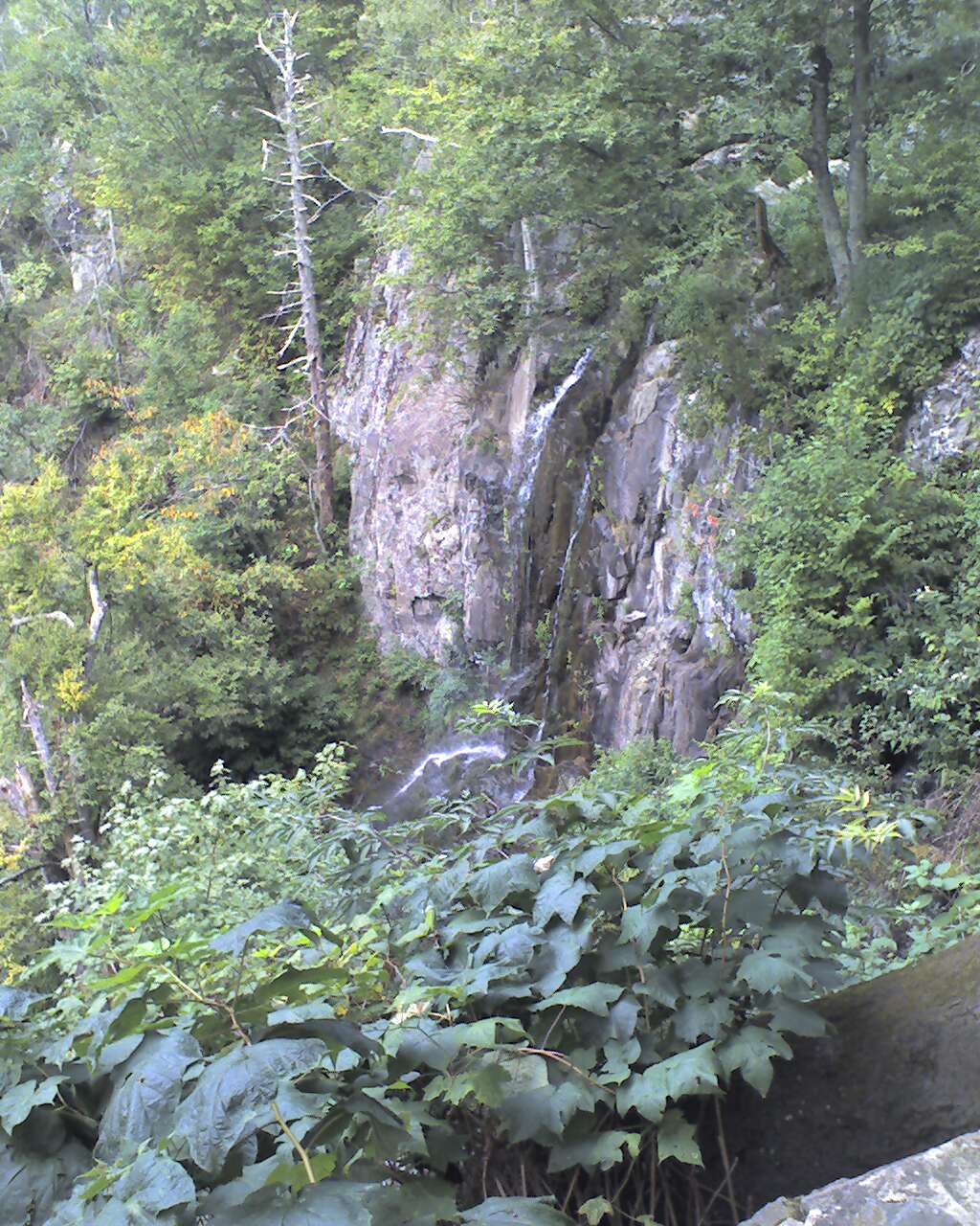Hawksbill Cabin: Lewis Spring Falls - an Easy Shenandoah Natl Park Day Hike