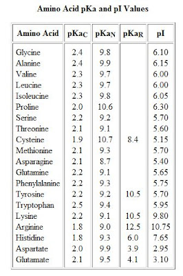 Biochemistry Review: Amino Acid pKa