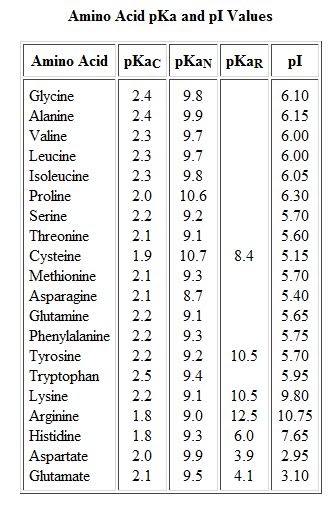 Biochemistry Review: Amino Acid pKa