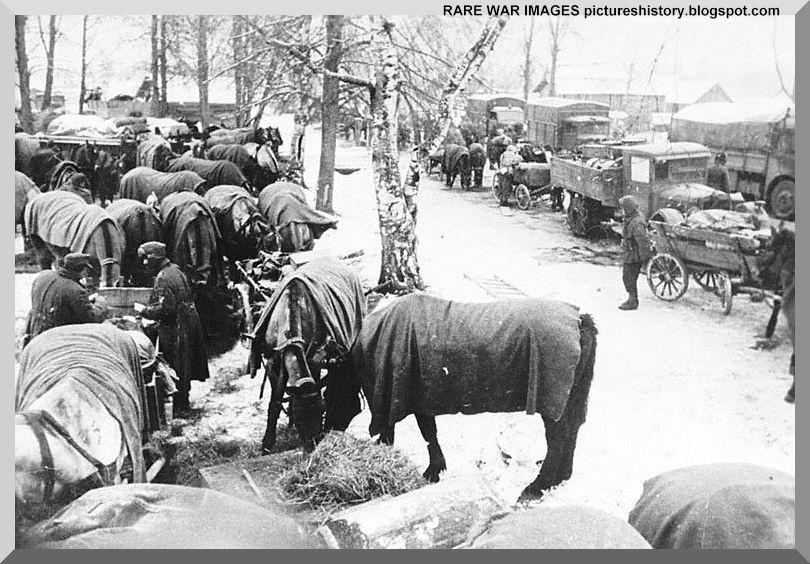 PICTURES FROM HISTORY: Rare Images Of War, History , WW2, Nazi Germany ...