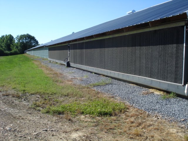 The Life of a Farmer's Wife: The Anatomy of a Chicken House