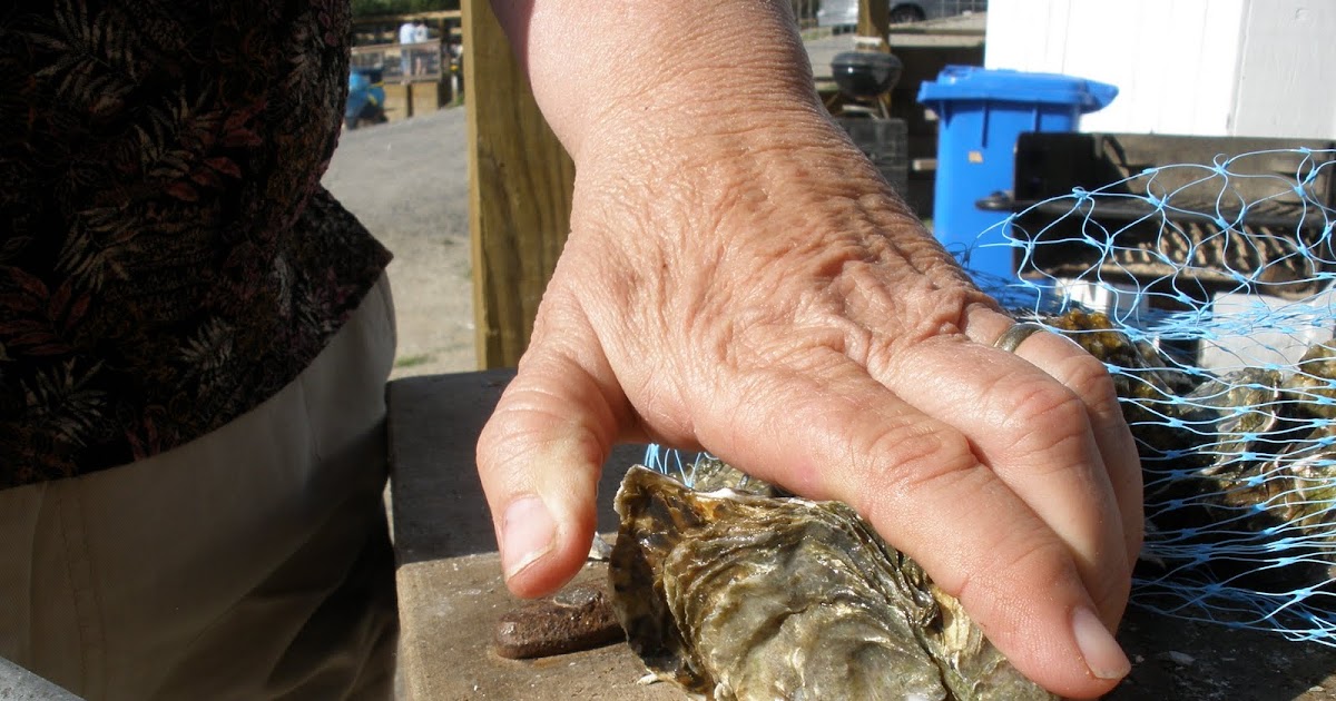Uncovering Food: Aw Shucks! A Lesson in How to Shuck Oysters