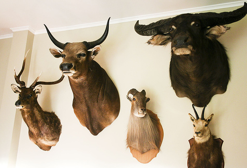 Andriana Laskari's Creative Corner - CG Arts and Animation: Inspiration ...