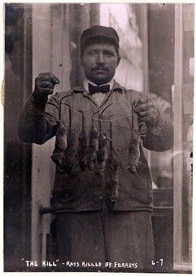 Falmanac: The Fallston Almanac of American History: November 2009