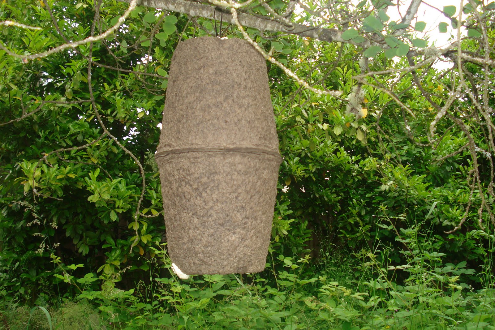A Whole 'Nother Bee Blog: Swarm Trap / Bait Hive