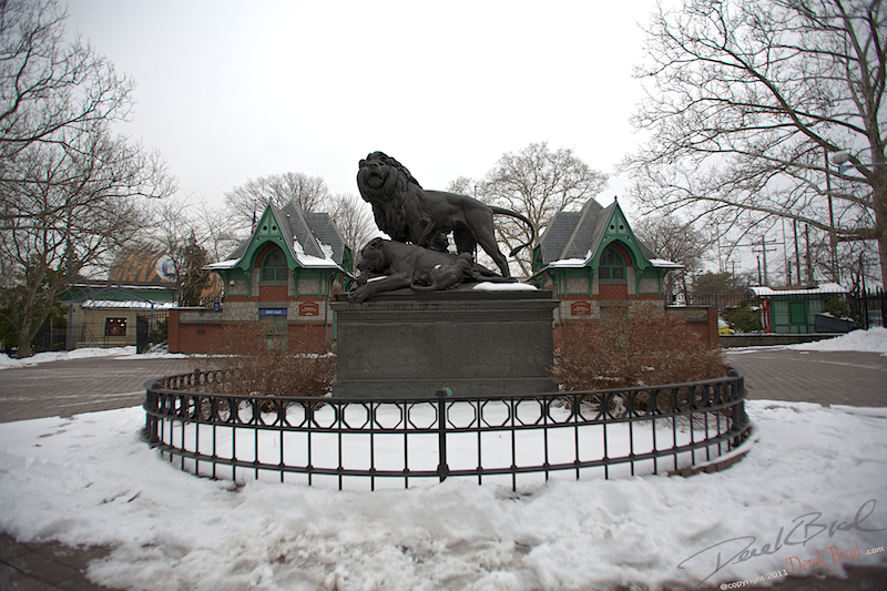 Derek Brad Photography: Philadelphia Zoo