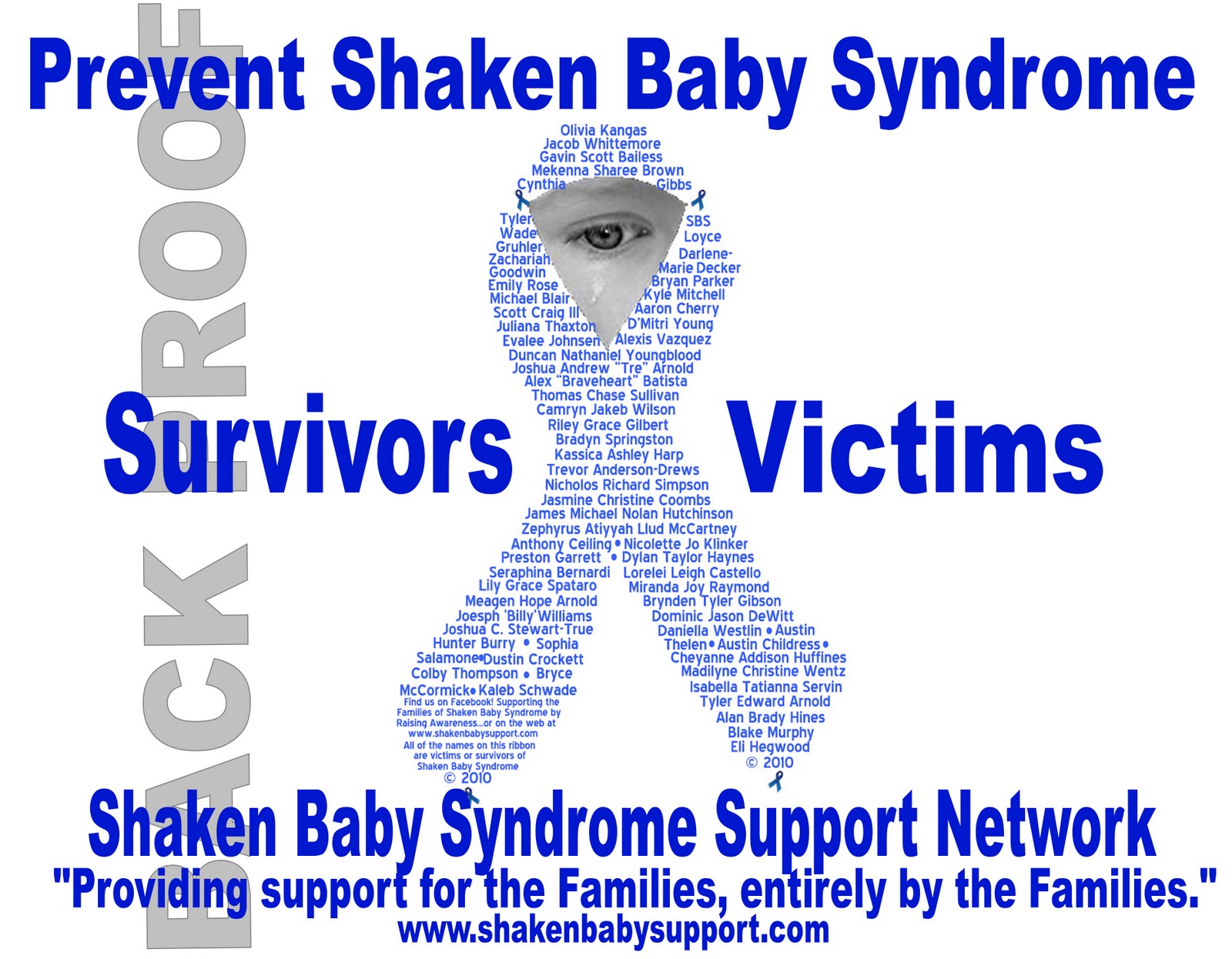 Shaken Baby Syndrome Support Network Official BLOG: Brand NEW Shaken ...