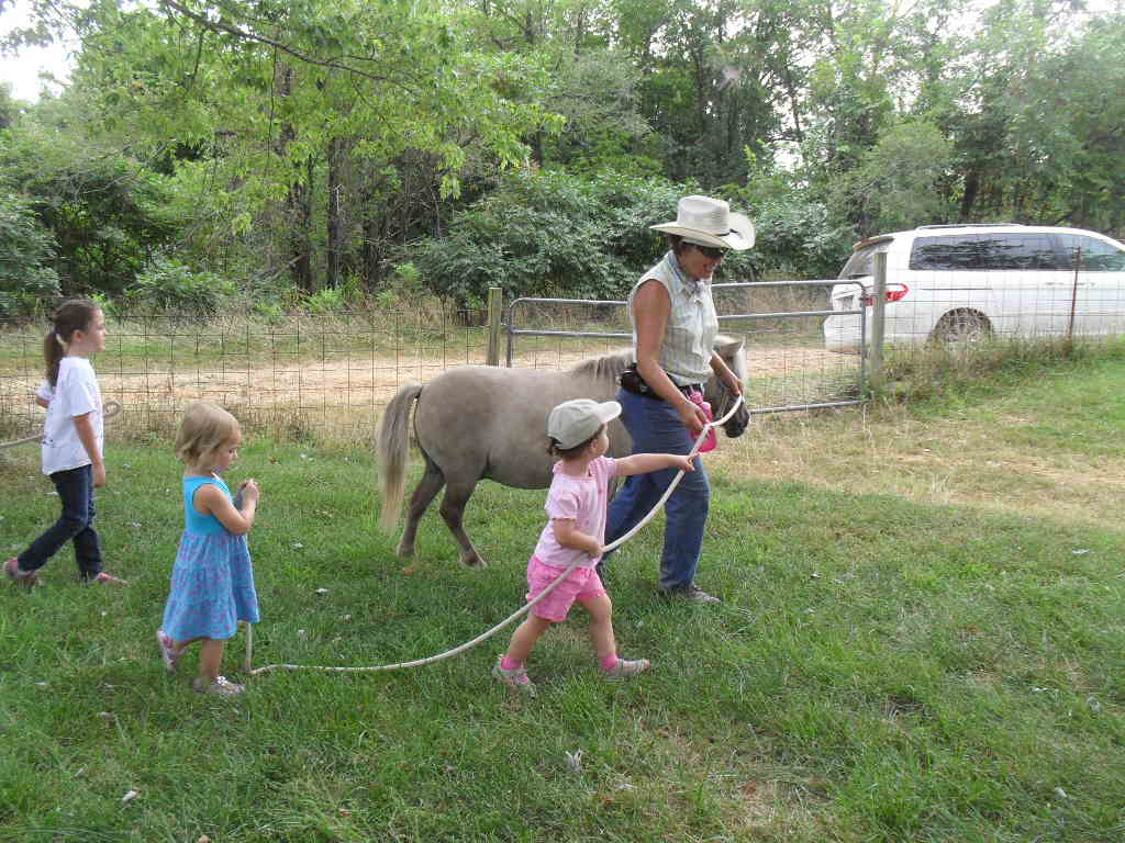 Welcome to the Rincon Family Blog! : Pony Farm