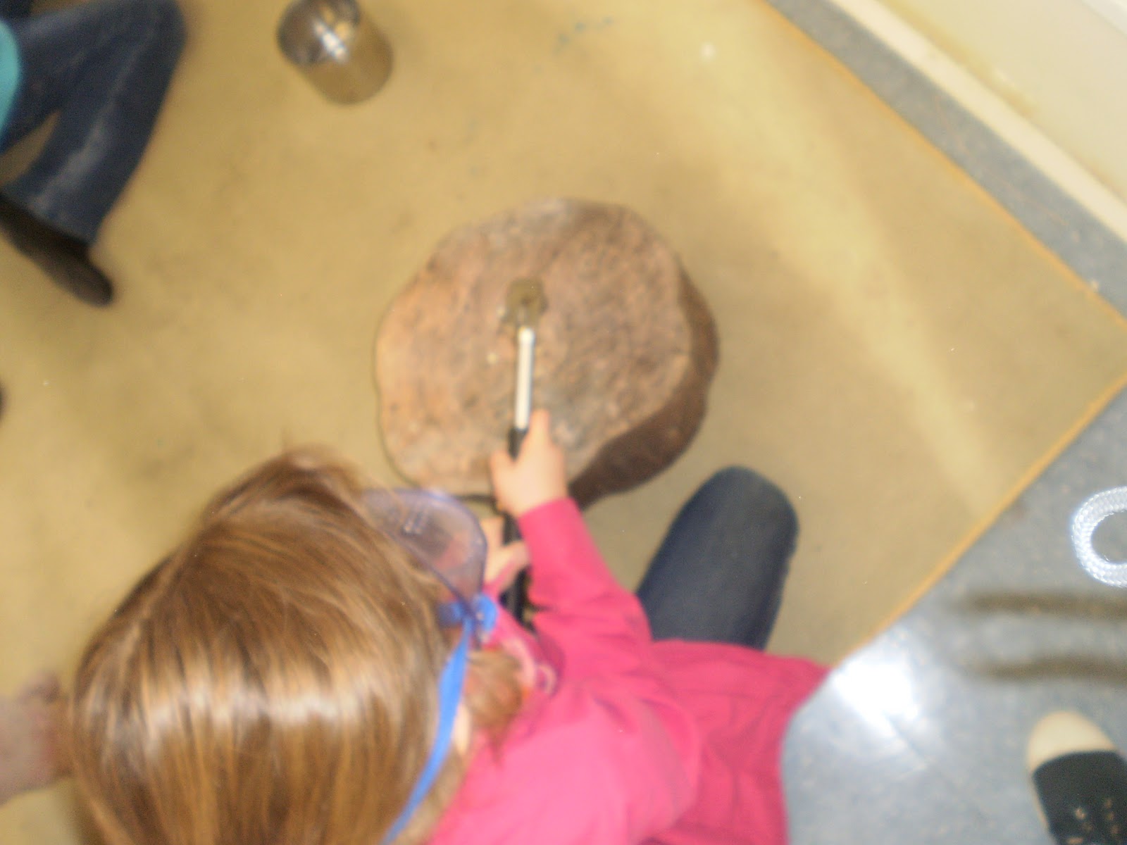 Walgrove Studio Lab: First Grade - Hands-On Experience with Simple Machines