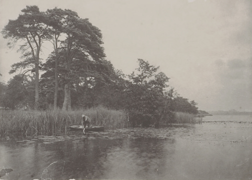 Peter Henry Emerson and Naturalistic Photography