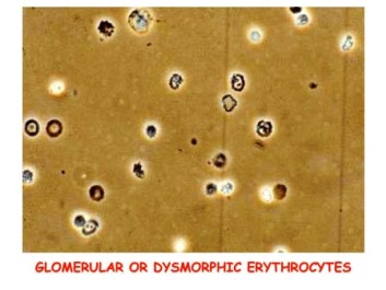 Microbiology and Lab Medicine