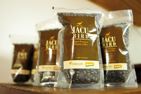 Coluna Café: Quem vê cara não vê olho de Jacu