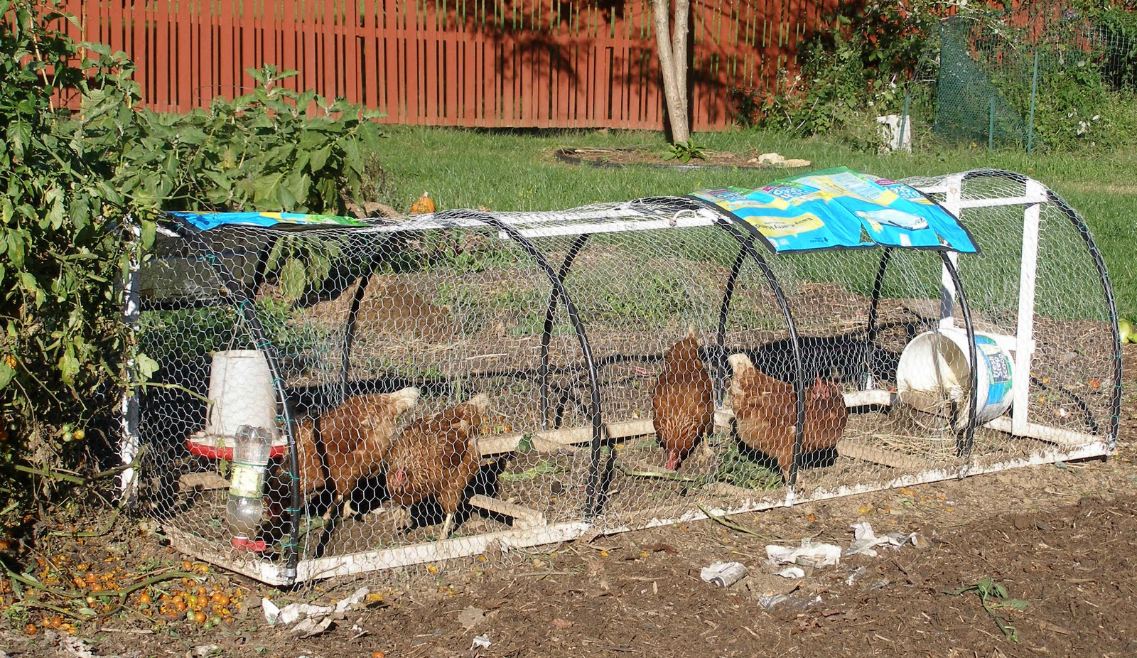 Portable Turkey Pens