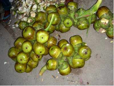 We love Our Bangladesh: Asian Palmyra Palm/Asian Palm Fruit (Tal/Taal ...