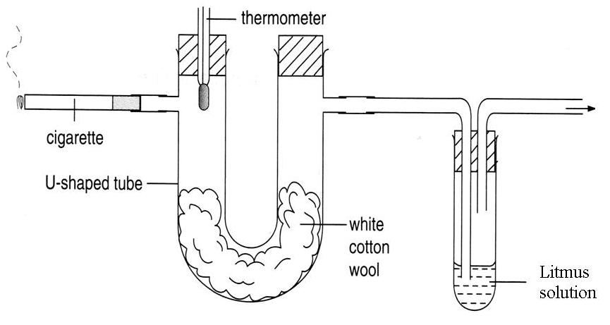 Blog Sains PT3: Form 3 Chapter 1 : The Effects Of Smoking On The Human ...