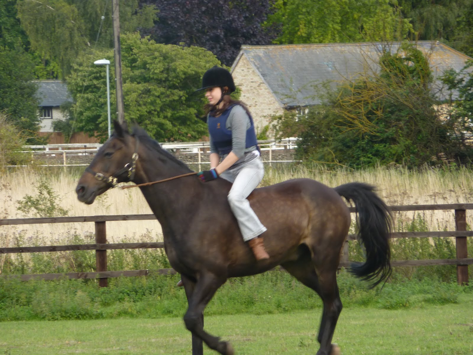 Lucy Frost: I Love Horse Riding! x