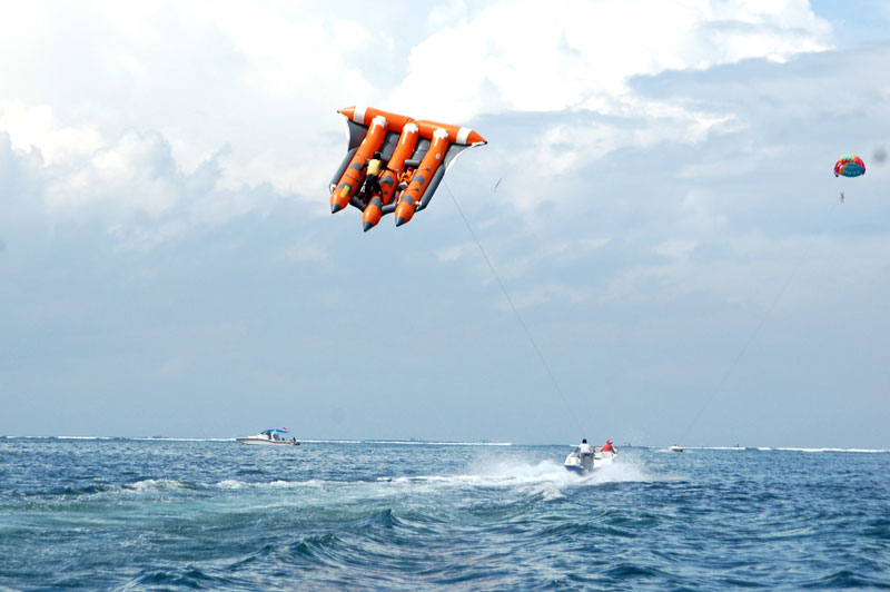 Flying Fish; Location: Tanjung Benoa ~ Bali Island