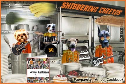 Da Shibbering Cheetos: Past Gigs