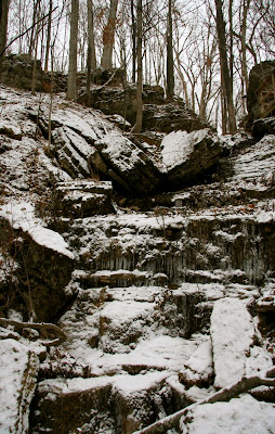 Nature remains.: Tainted Snow (SWF)