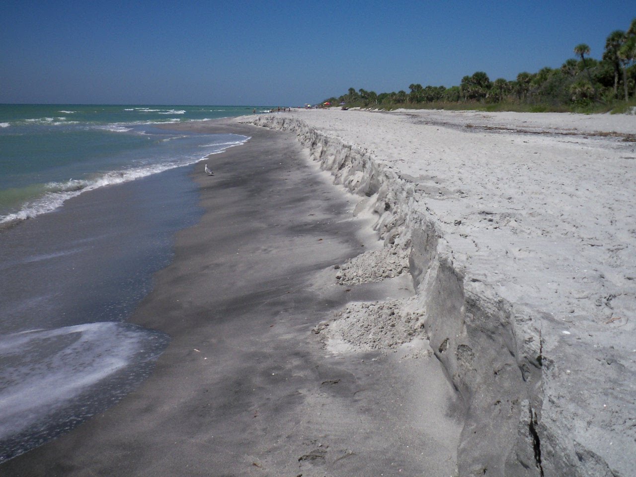 Southwest Florida Shoreline Studies: Cliffs of Casperson