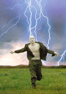 Grawe blog: powder movie