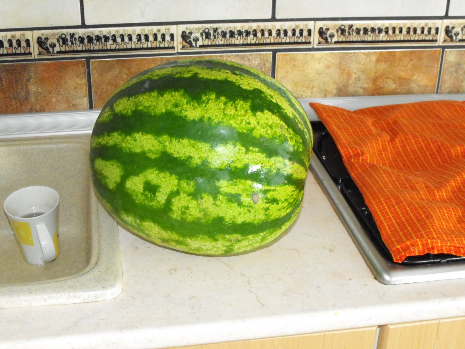 Pasiuni de odinioara: PEPENE VERDE : BIO, ECO, NATURAL