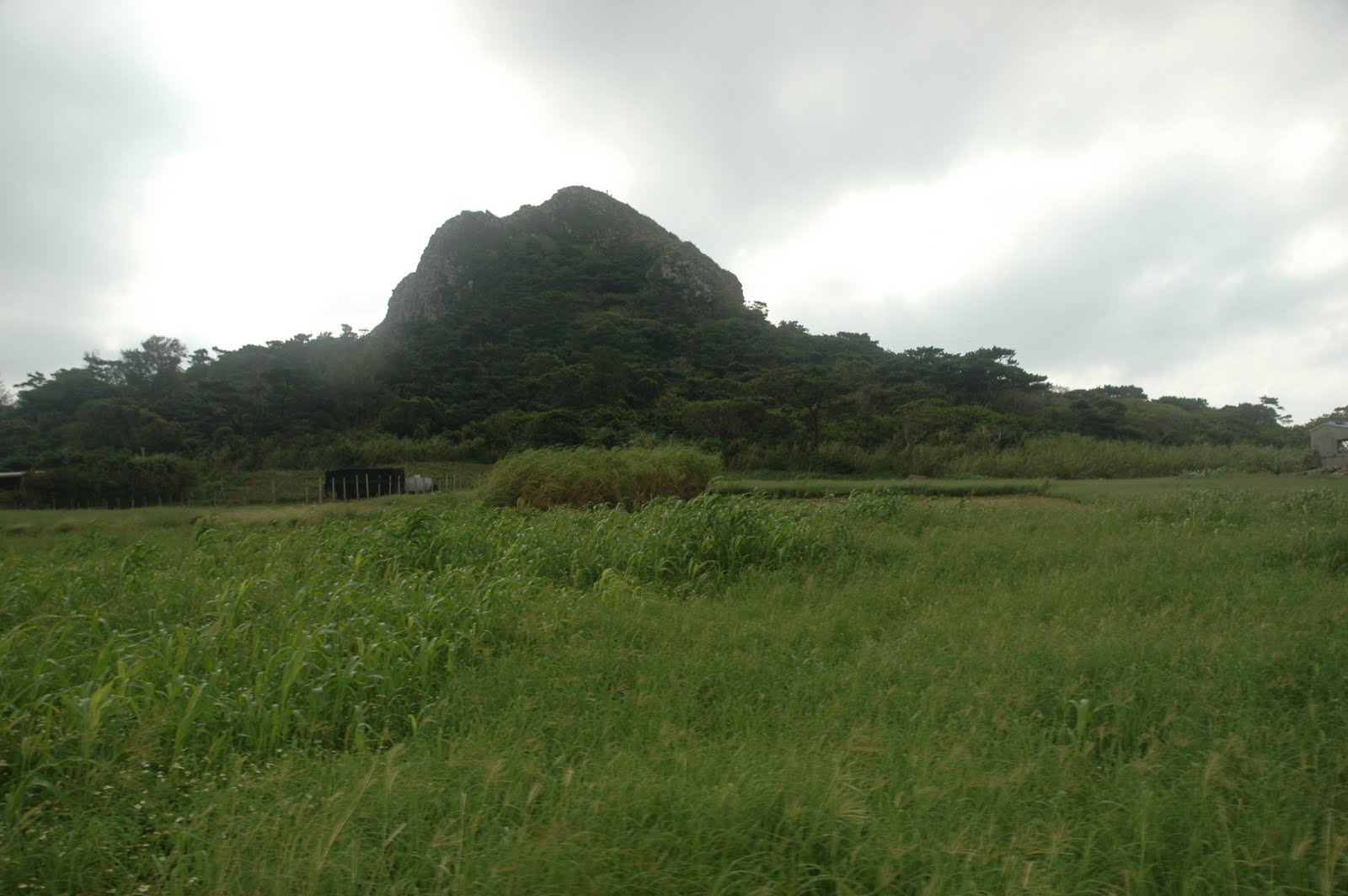 Traditional Boats - East and West - at Douglas Brooks Boatbuilding ...