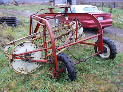 Woodland Creek Farm Soay Sheep: Hay Man