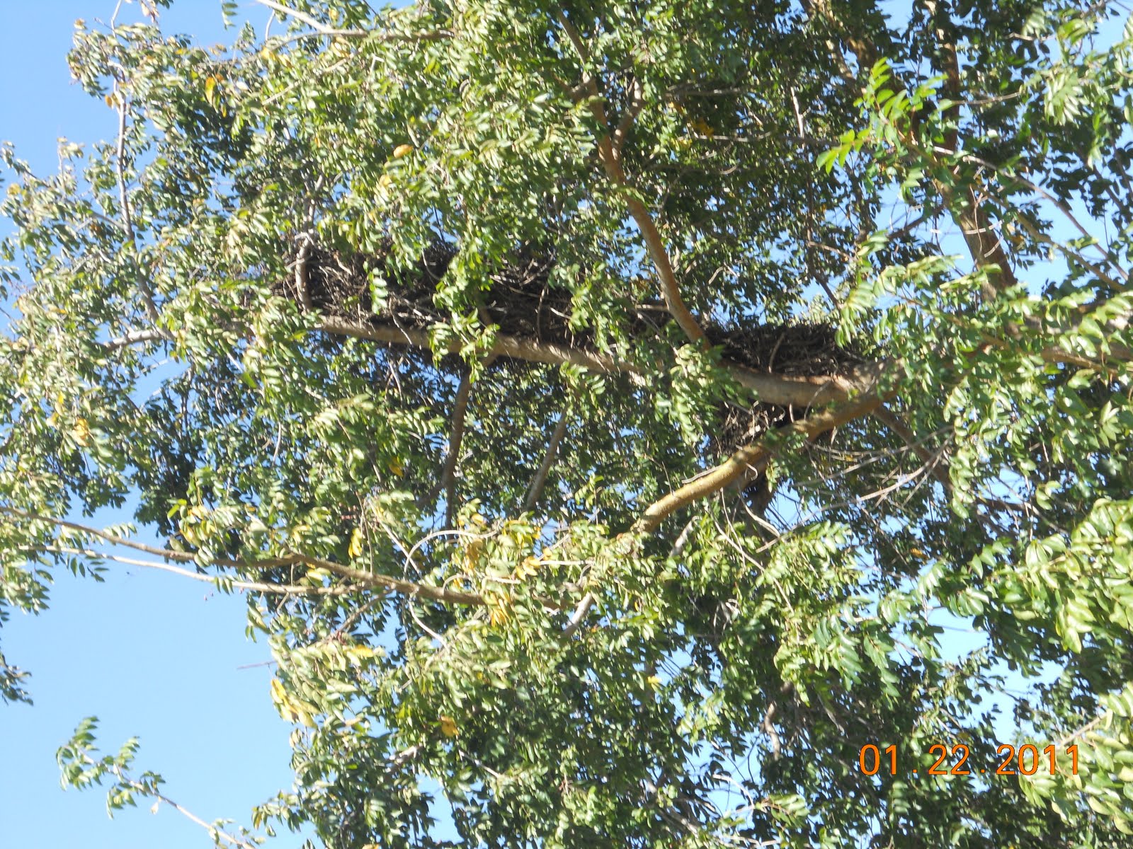 New Generation Ministries Blog