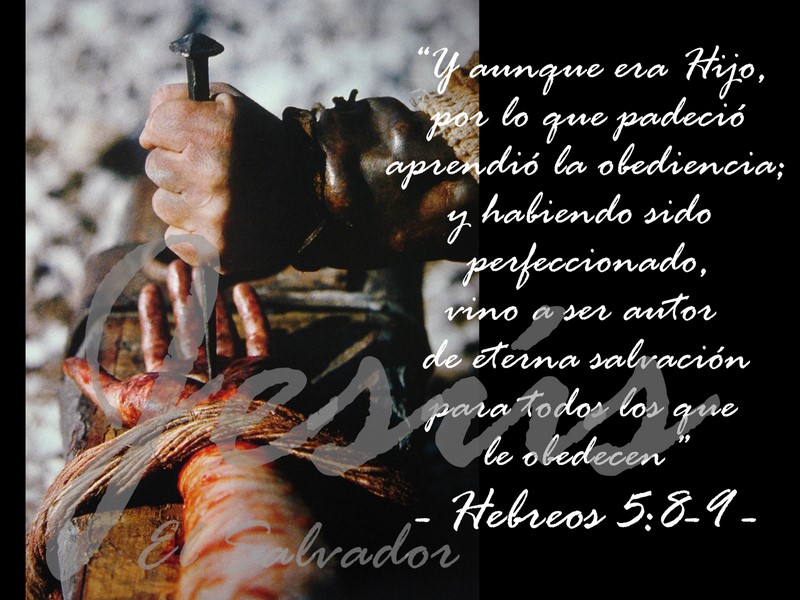 YO SOY EL BUEN PASTOR: Hebreos 5:8-9
