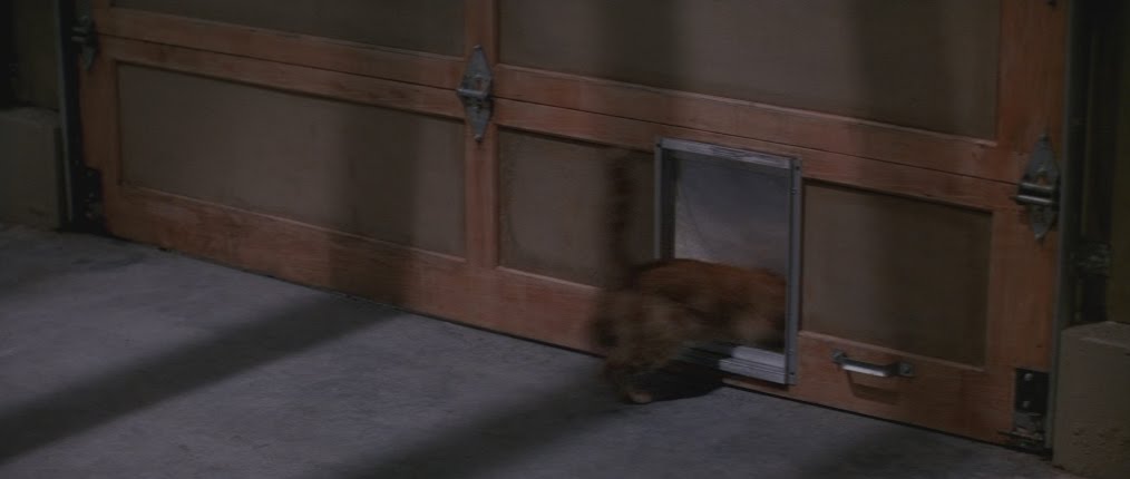 Stale Popcorn: Scream to Scream, Scene by Scene: SCENE 23 of Scream (1: ...