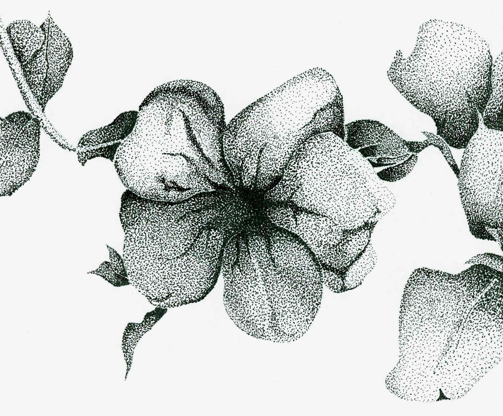 stipple+flower+web (image)
