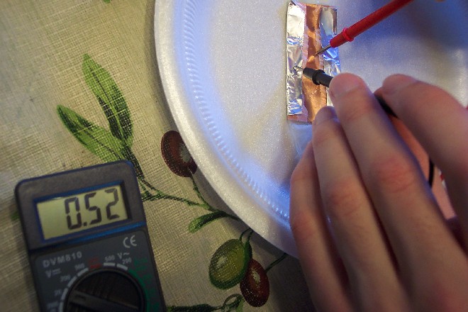 Integrated Science at Home: The No-Frog Battery