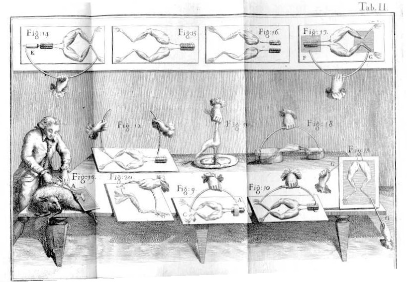 Integrated Science at Home: The No-Frog Battery