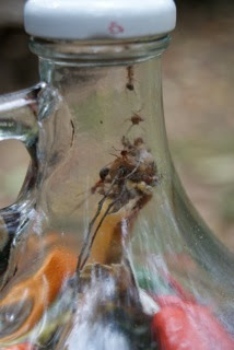 Caribbean Spirituality and Understanding in the Diaspora: Making "Chamba"