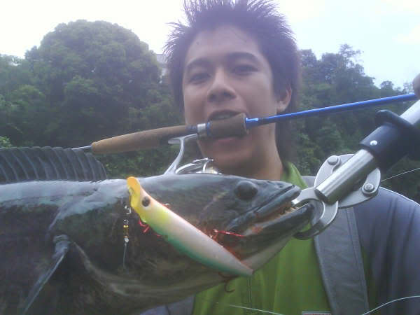Ima Singapore: Our catches on Ima Sasuke 120裂波