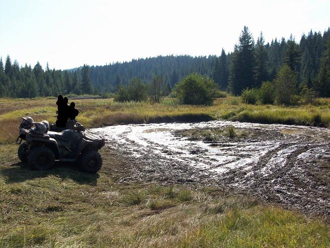 Stay on Trails: 5 ATV riders cited for tearing up meadows in the ...