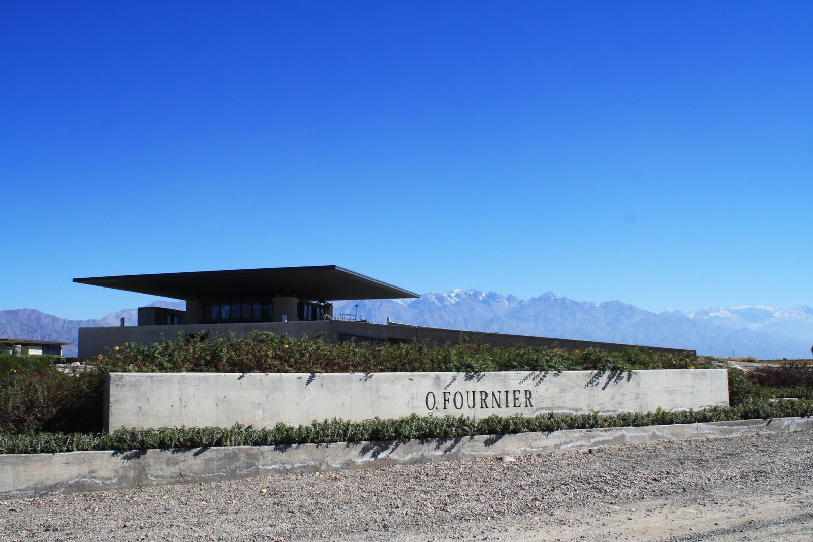 Couper//Coller: O'FOURNIER WINERY