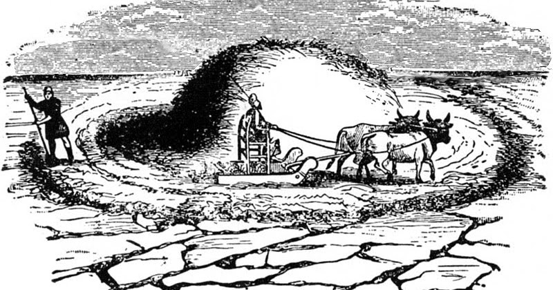 Building Builders!: The Threshing-Floor