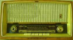 3-STUDENTS: What is the Difference Between Radio Button and Check Box