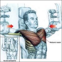 Hipertreino: Treinando Peito