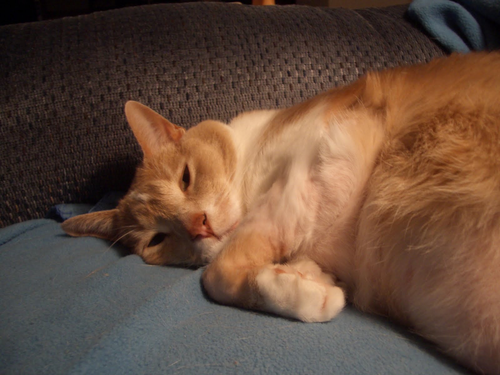 JUST DUCKY!: September 2010