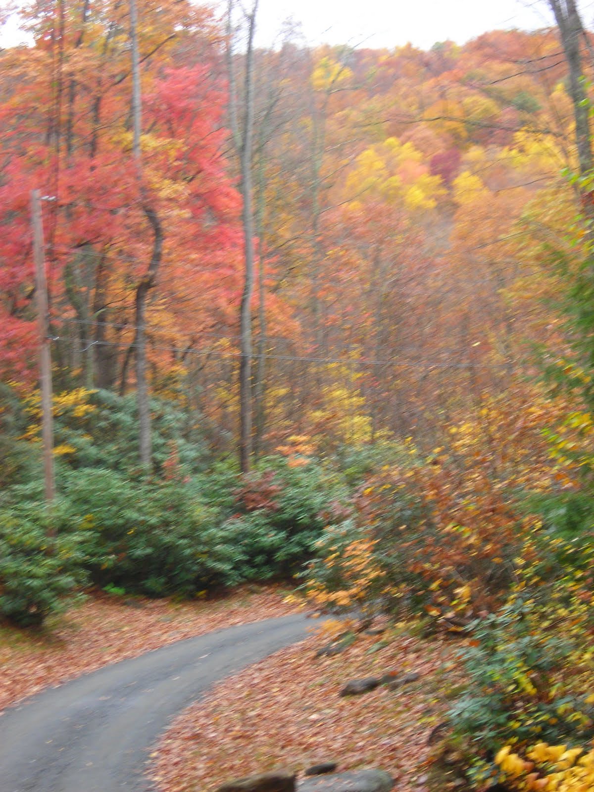 The Cove at Celo Mountain - Blog: Favorite Photos, 2010 - Up on Celo
