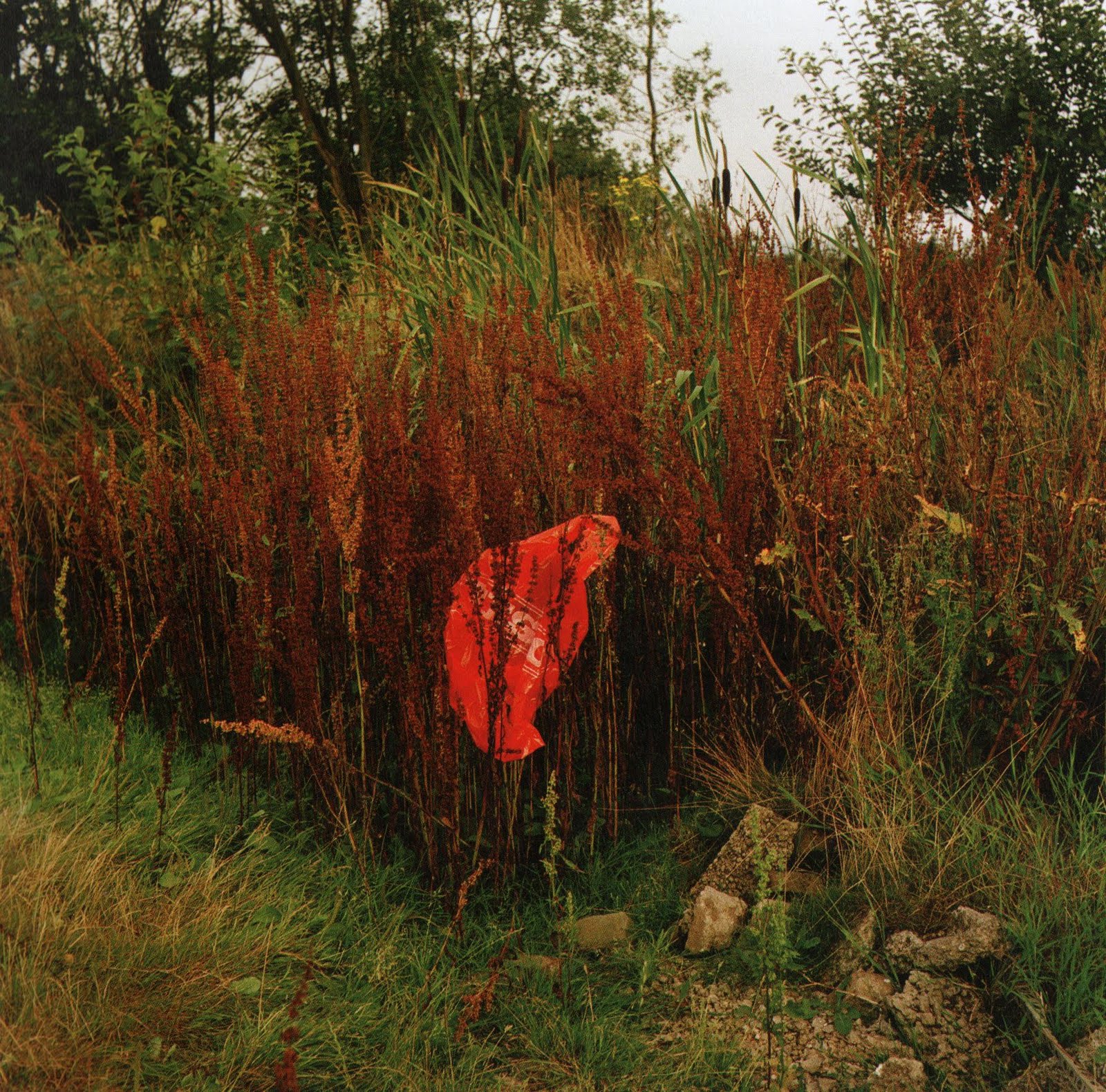 The Photo Cowboy: Keith Arnatt