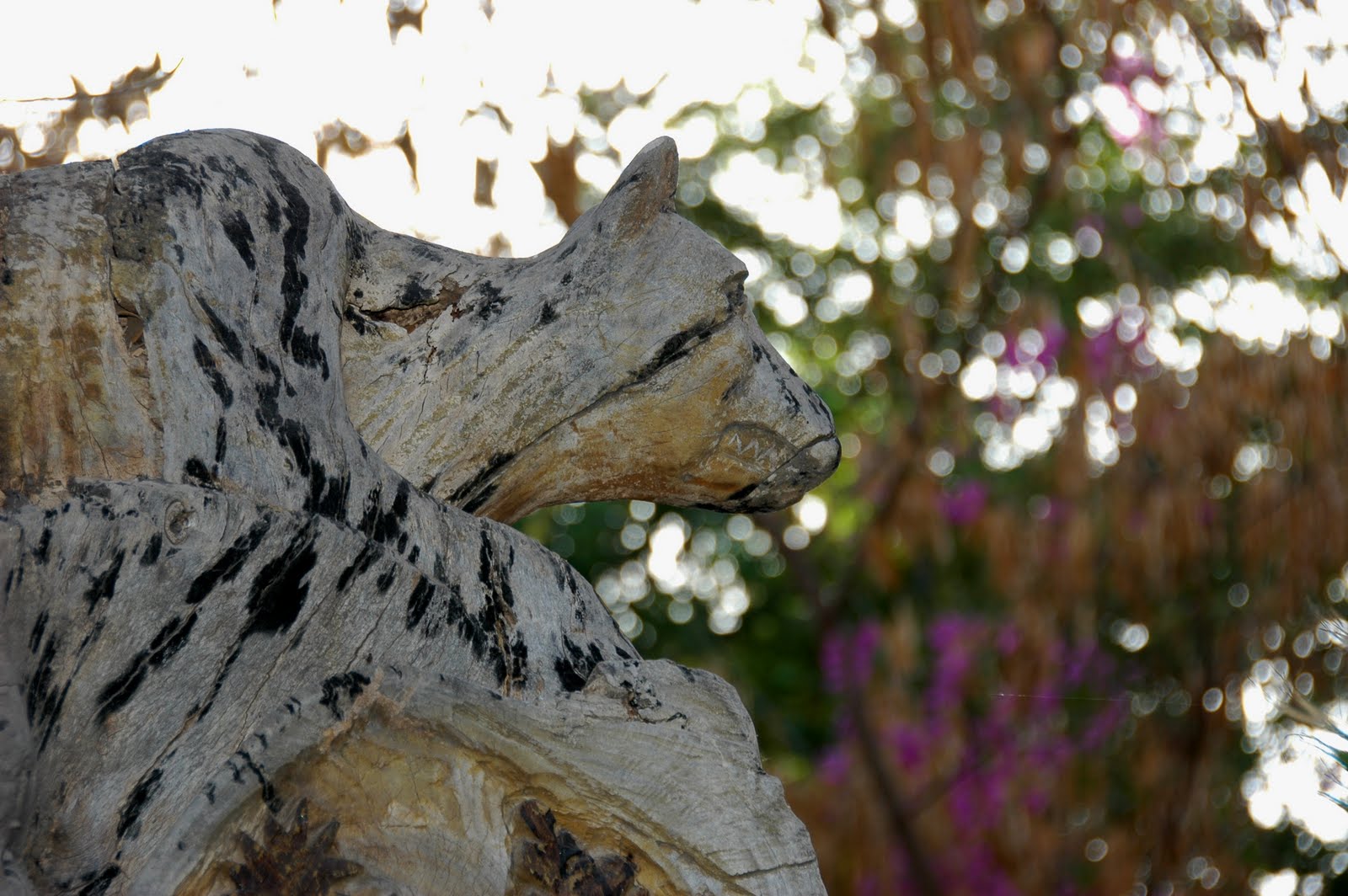 Sociedad Jardín Botánico de Los Mochis IAP: 9/5/10 - 16/5/10