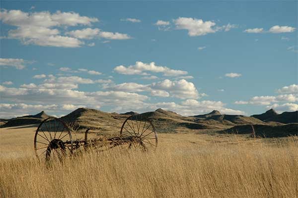 daily montana ...: Biddle ...