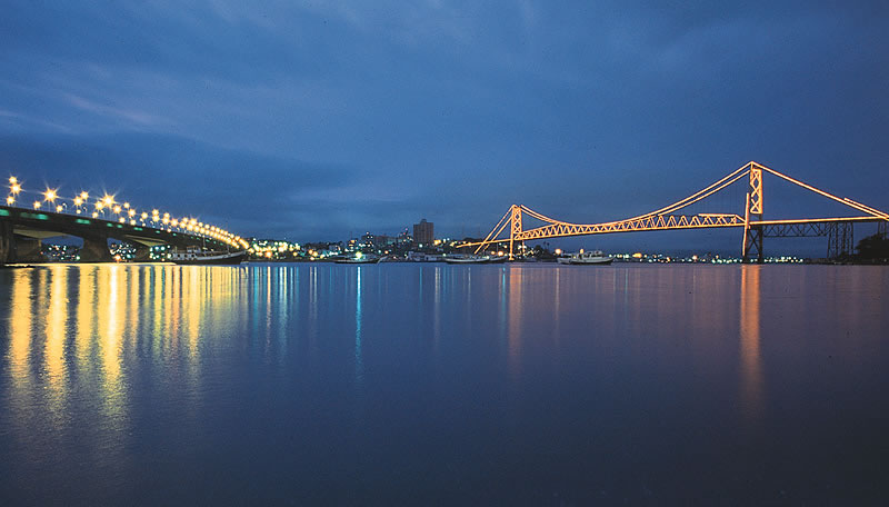 ALÔ FLORIPA! | Figos & Funghis