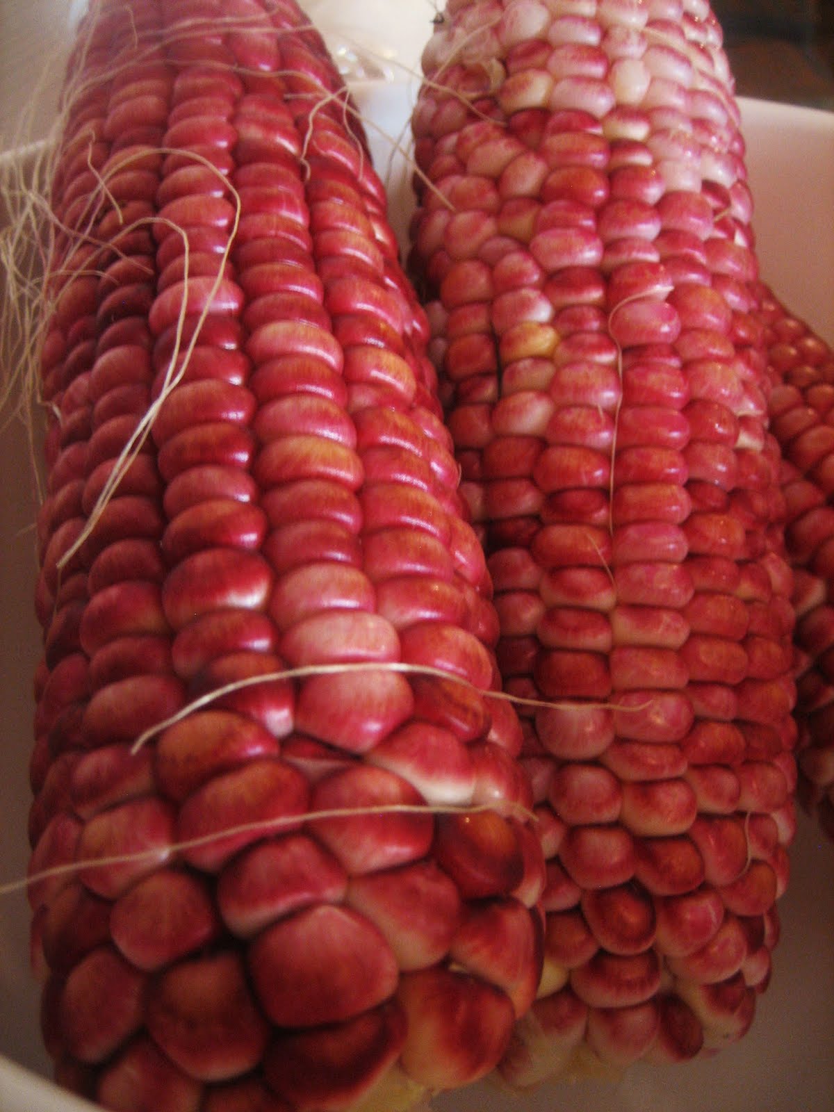 Chef Tess Bakeresse: Red Corn, Sweet Potato and Roasted Green Chile Skillet